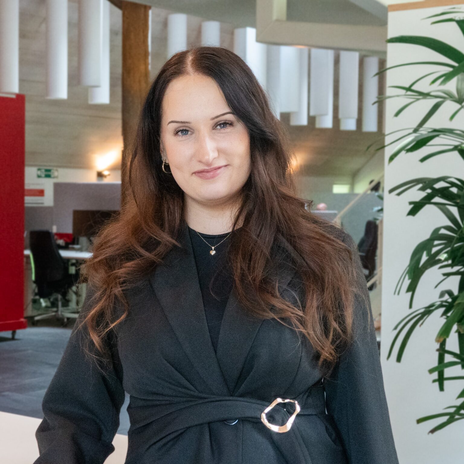 Ventolines kiest voor Warpnet om IT Security & Compliancy te waarborgen en te versterken - Warpnet